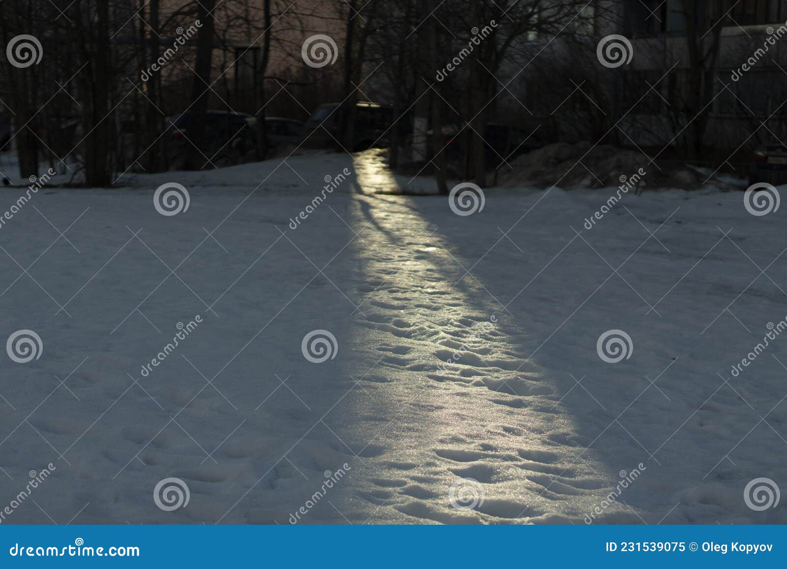 Light in the Snow. the Setting Sun Shines in Winter on the Snow-covered ...