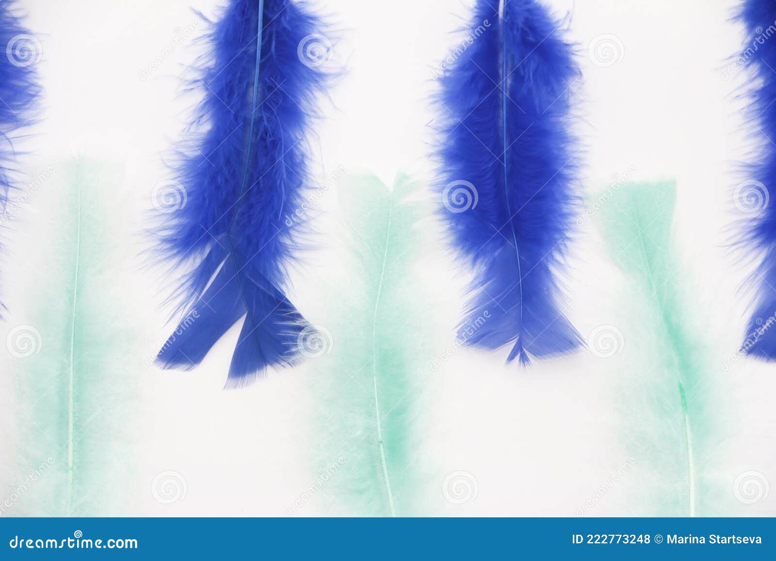 Light Soft Fluffy Bird Feathers Stock Photo - Image of falling ...