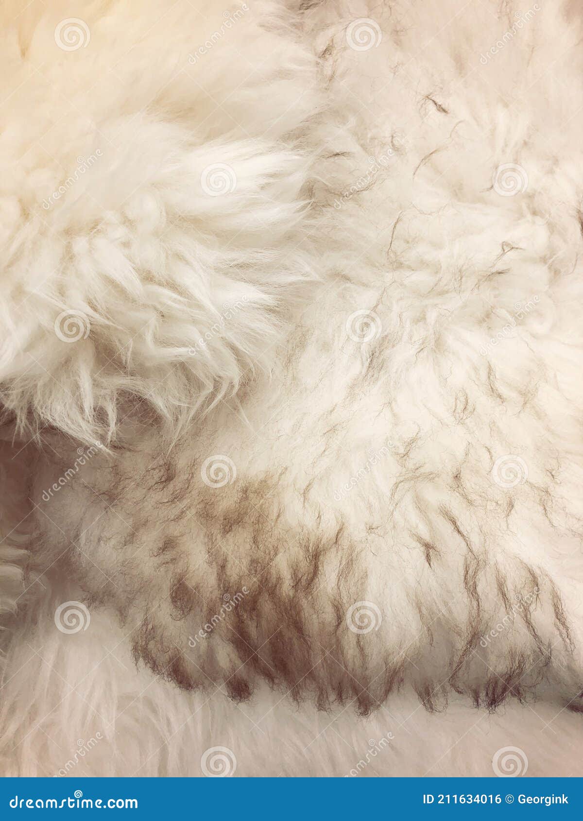 Light and Soft Fur Background Stock Photo - Image of background, fiber ...