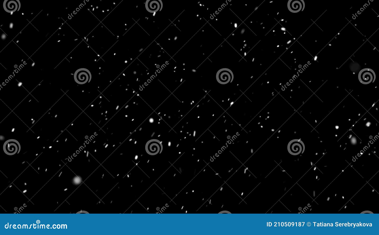 Light Soft Snow Falling Isolated on Black 4k Seamless Loop. Place it ...