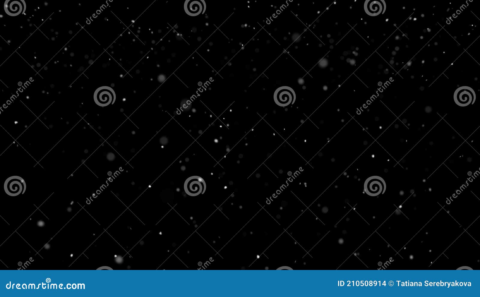 Light Soft Snow Falling Isolated on Black 4k Seamless Loop. Place it ...