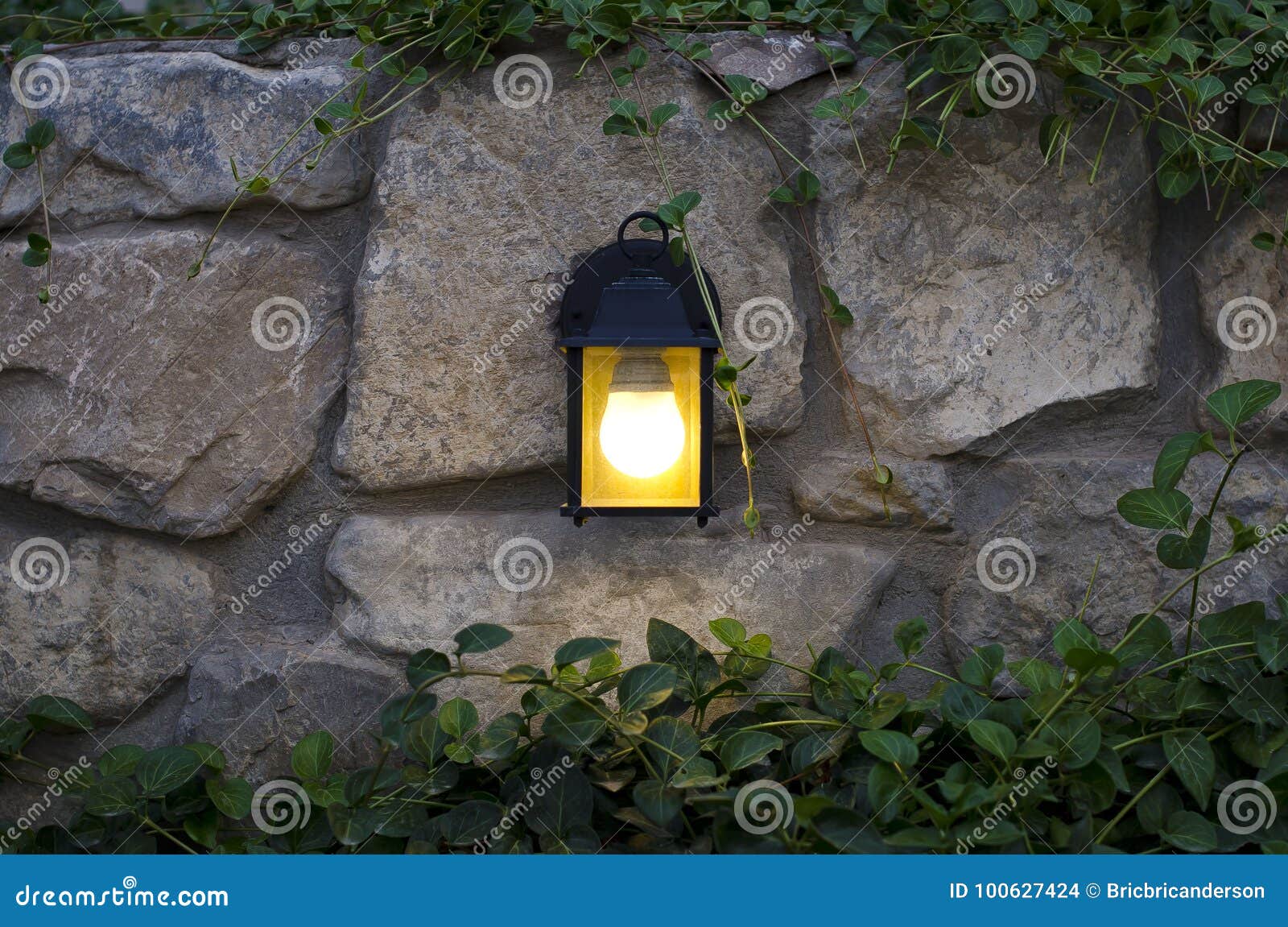 Light on a Stone Wall stock photo. Image of leaf, texture - 100627424
