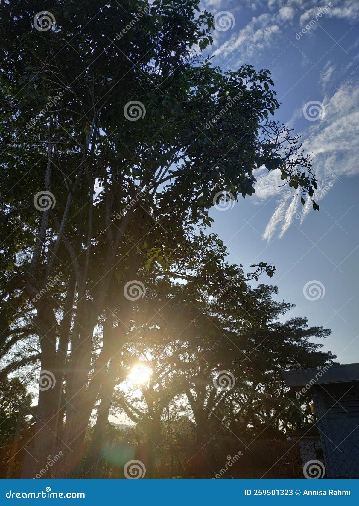 Light of sun stock image. Image of reflection, grass - 259501323