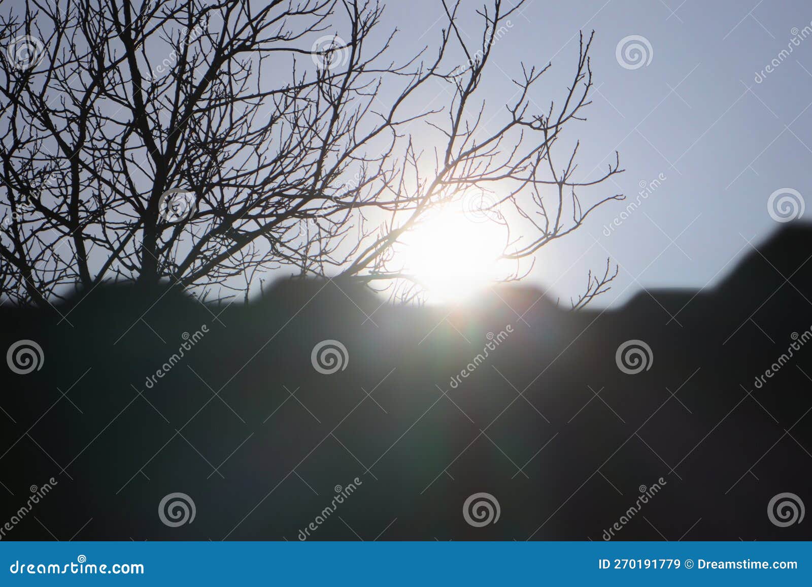 The Light of the Sun from Behind the Trees Stock Image - Image of ...