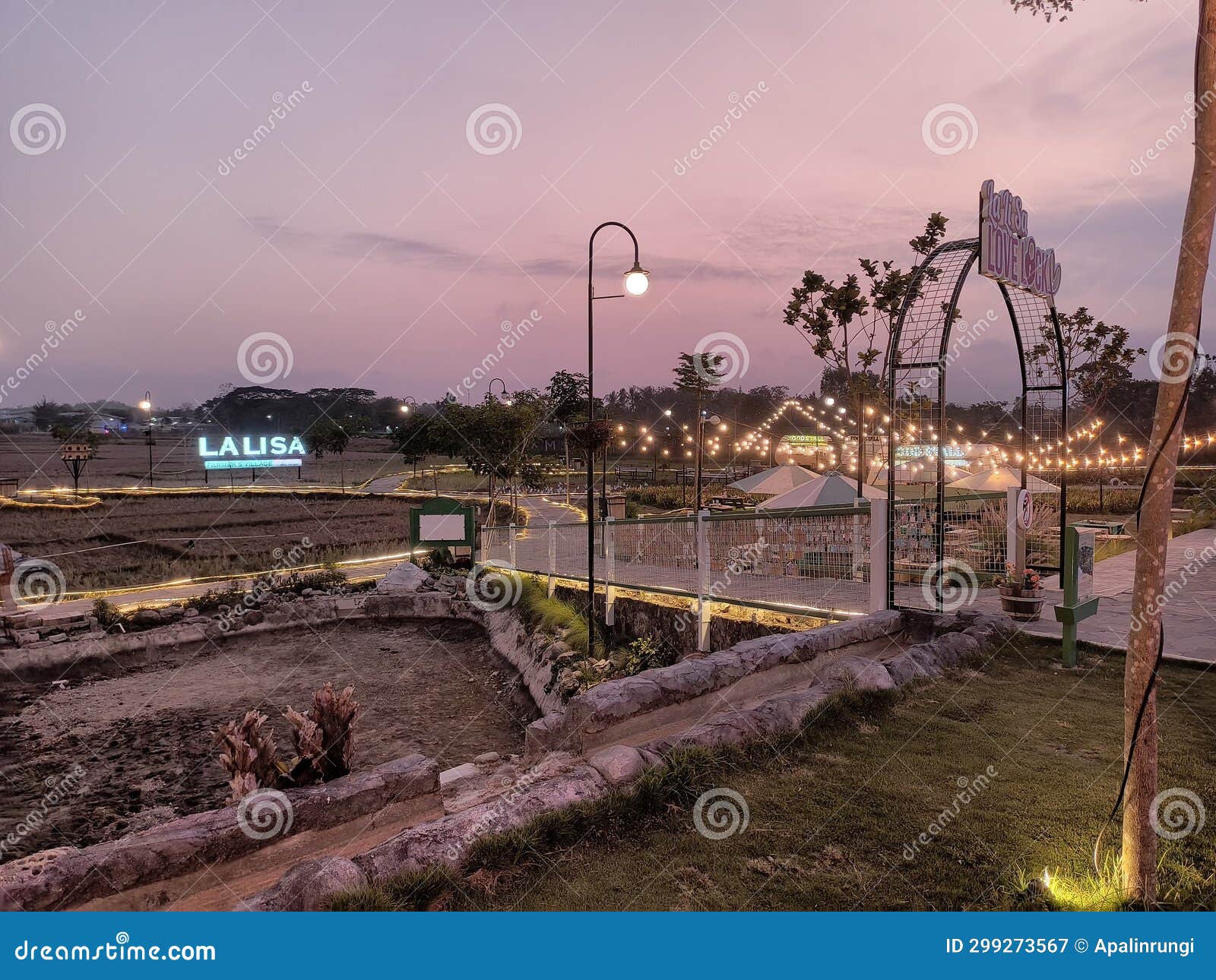Light, Sunset, Grass, Rock, Tree, Editorial Photography - Image of rock ...