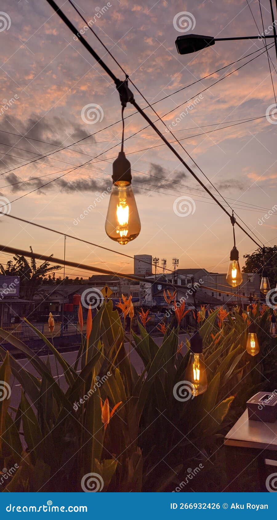 Light Sunsite Stock Photos - Free & Royalty-Free Stock Photos from ...