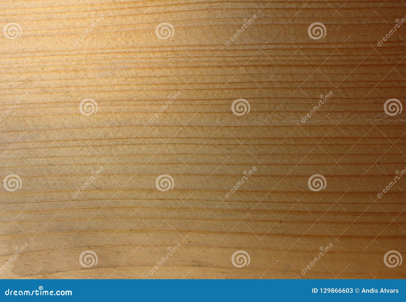 Light Texture with Natural Wood Pattern Stock Image - Image of wood ...