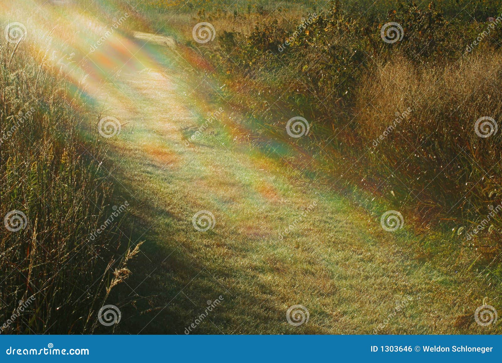 Light to my Path stock photo. Image of sunrise, guide - 1303646