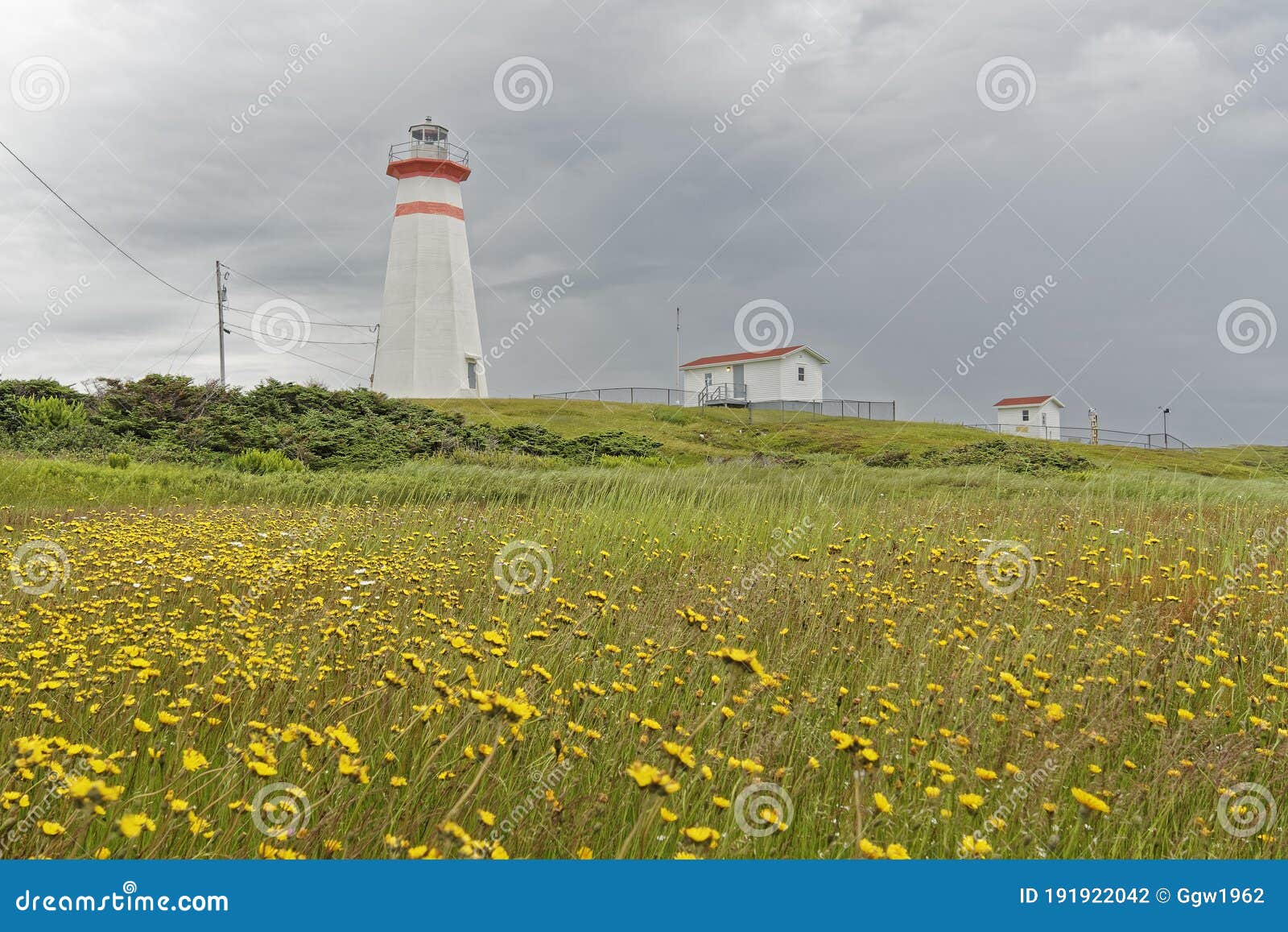 The Light Tower at Cape Ray Stock Photo - Image of brick, coastal ...