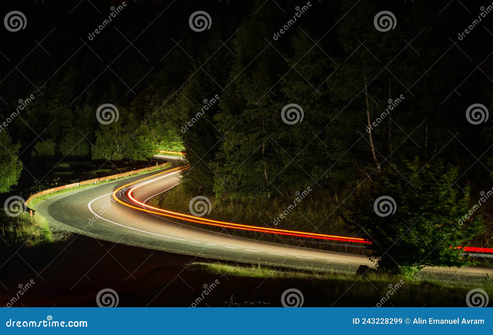 Light Trail in the Forest at Night Stock Image - Image of streetlight ...