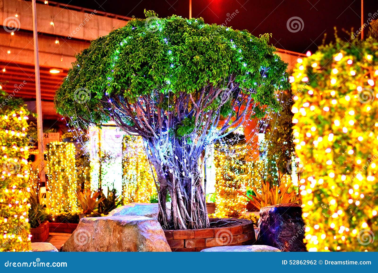 Light of Tree and Colorful Neon Stock Photo - Image of happiness, neon ...