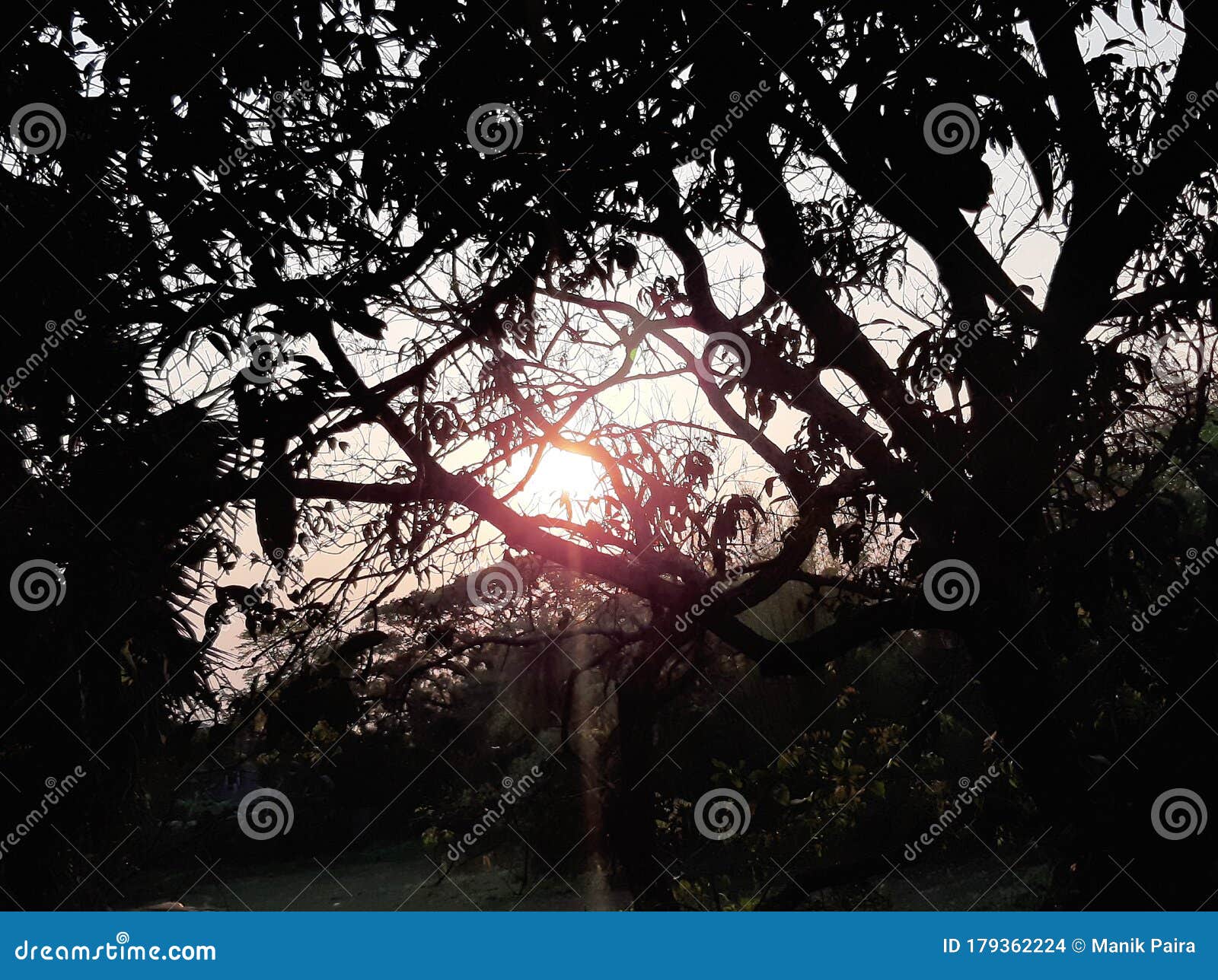 Light Up with the Energy of Sun Stock Photo - Image of nature, poster ...