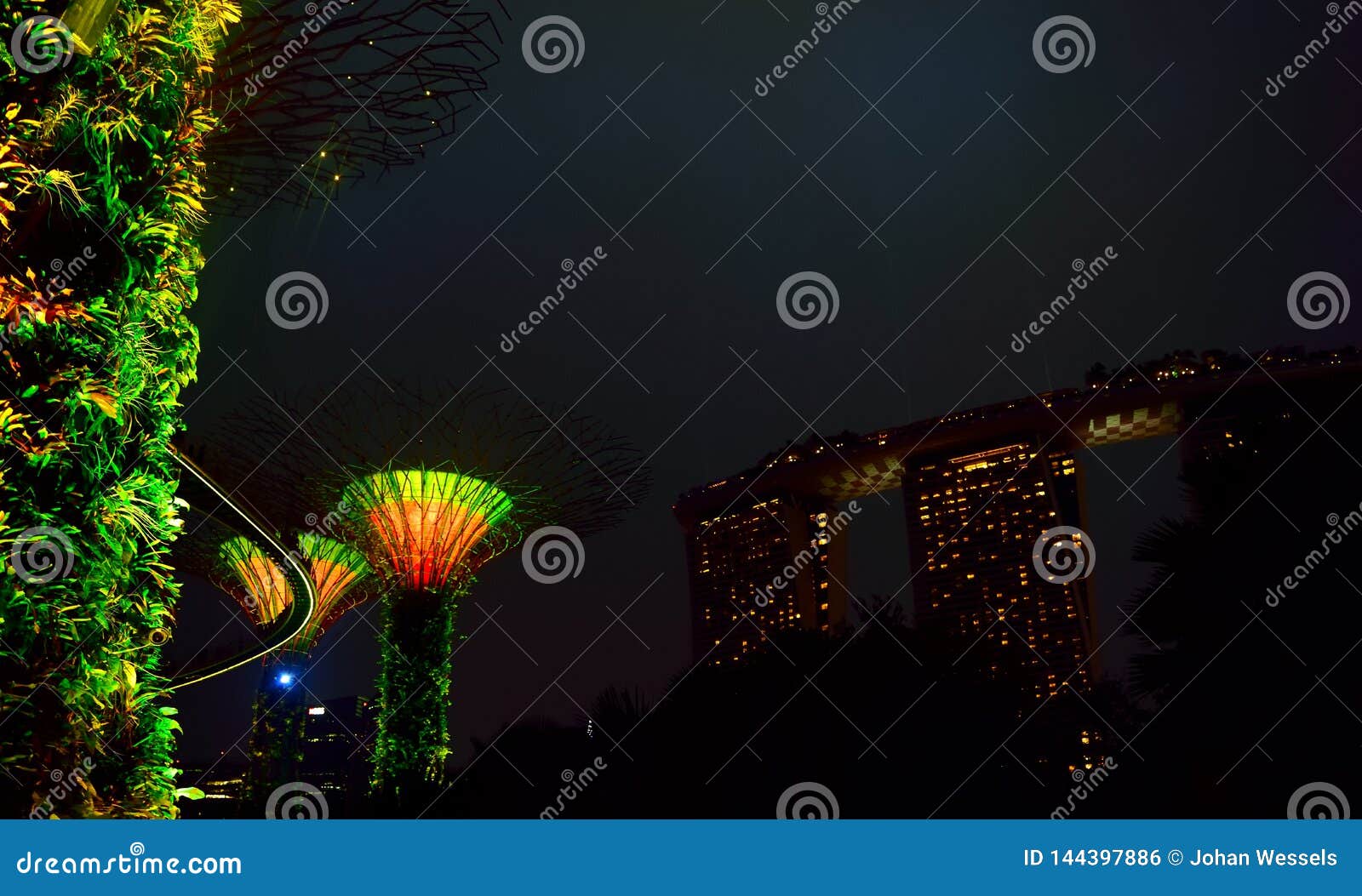 Light Up the Night with Trees Stock Photo - Image of beautiful, garden ...