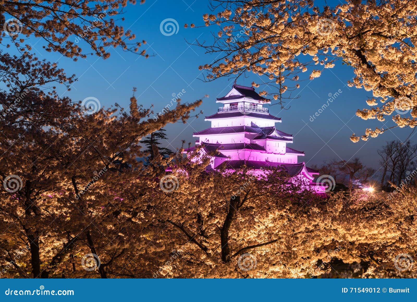 Light Up at Tsuruga Castle (Aizu Castle) Surrounded by Hundreds Stock ...