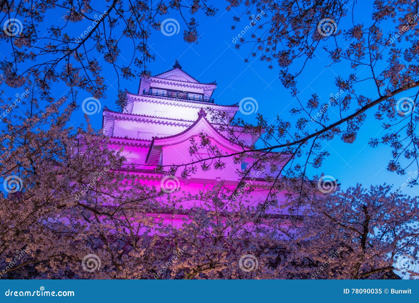 Light Up at Tsuruga Castle (Aizu Castle) Surrounded by Hundreds of ...