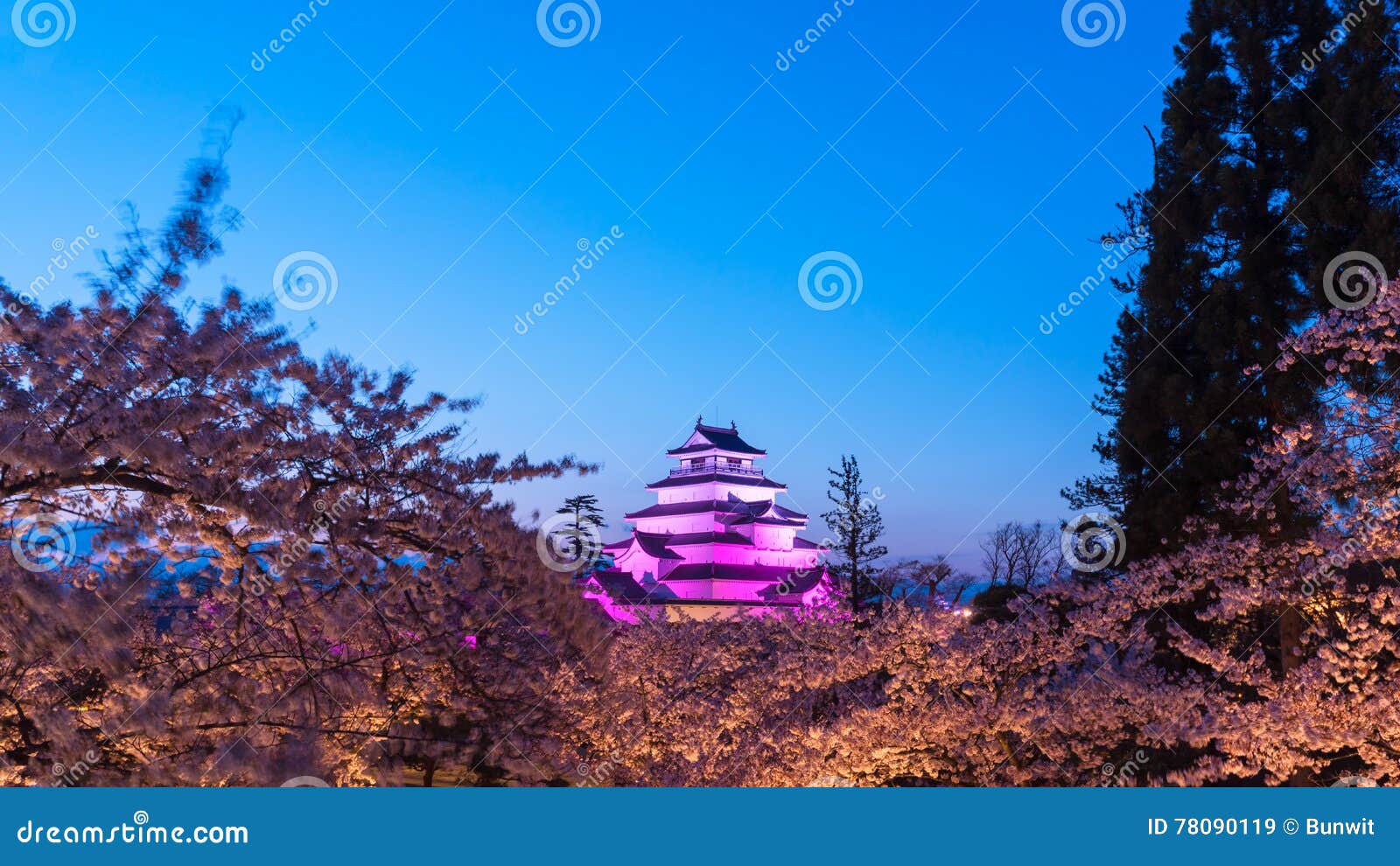 Light Up at Tsuruga Castle (Aizu Castle) Surrounded by Hundreds of ...