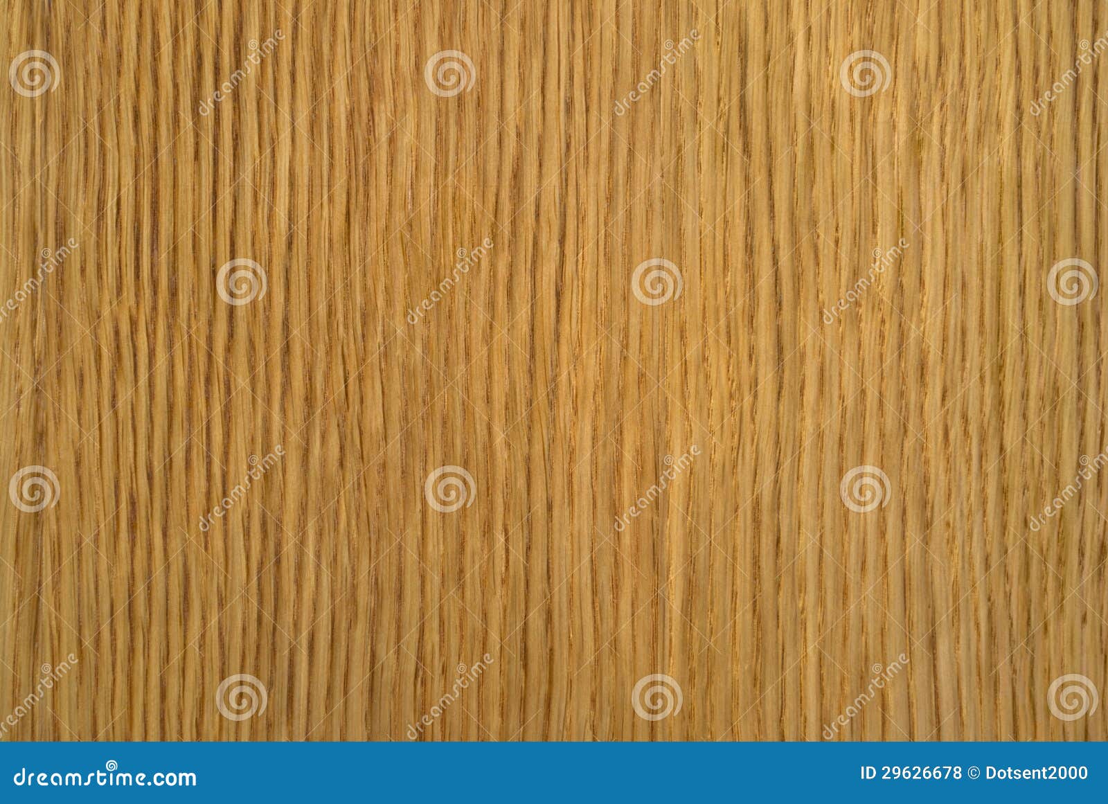 Light veneer. stock photo. Image of pine, striped, smooth - 29626678