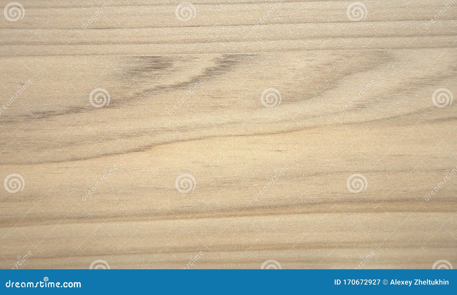 Light Walnut Natural Wavy Pattern of Wood on a Cut Closeup Stock Image ...