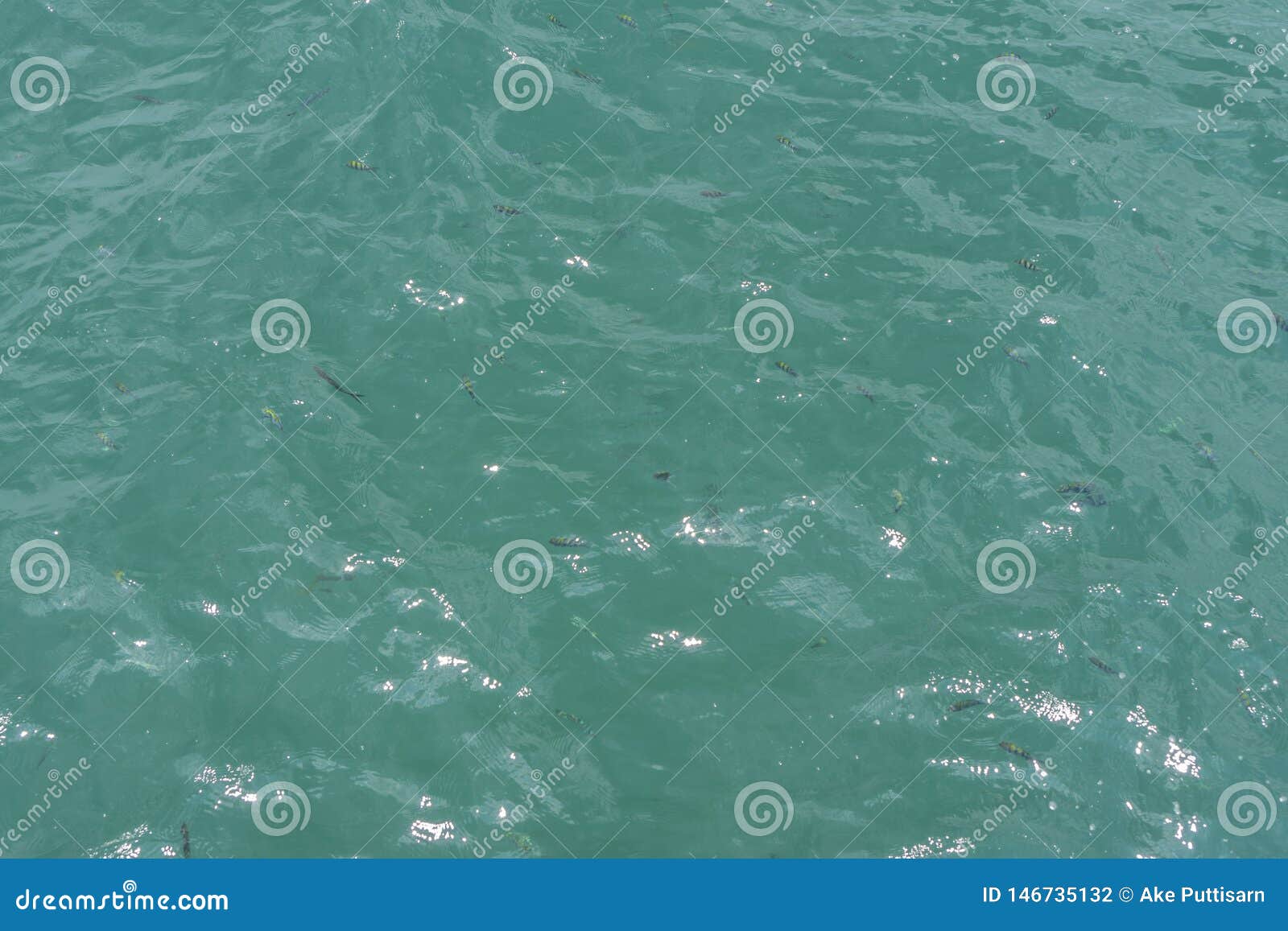 Light Waves on the Surface of the Emerald Sea Stock Photo - Image of ...
