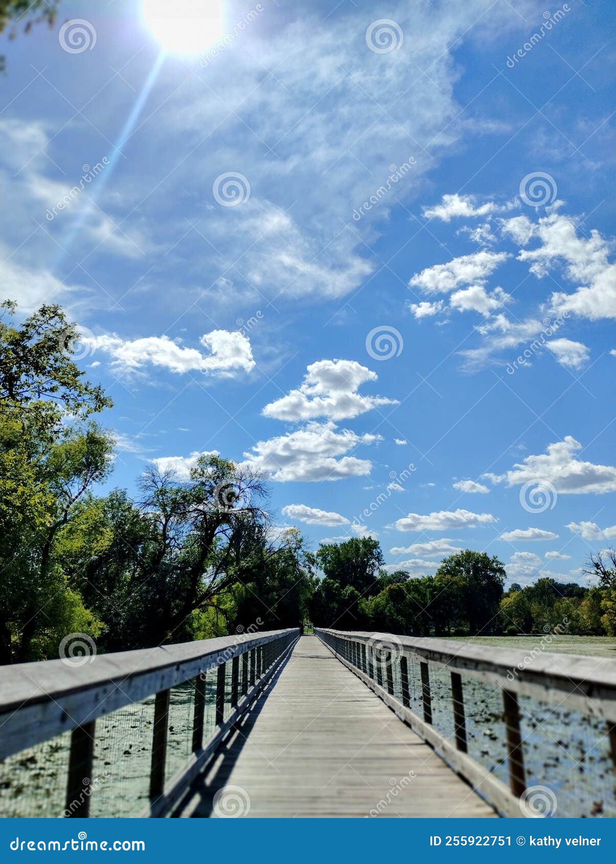 Into the Light the Way Forward Stock Image - Image of sunlight ...