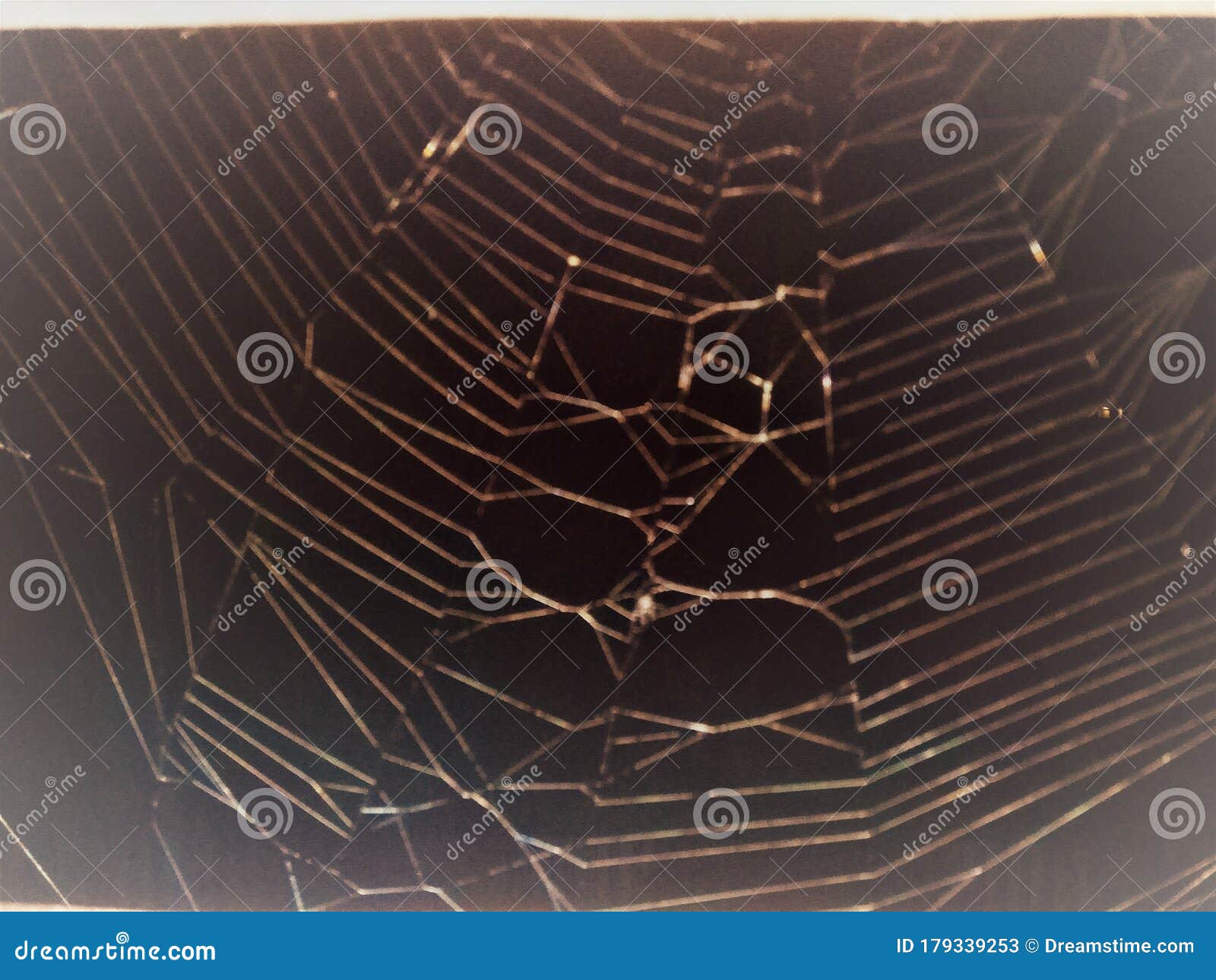 Light in the web stock image. Image of silence, light - 179339253