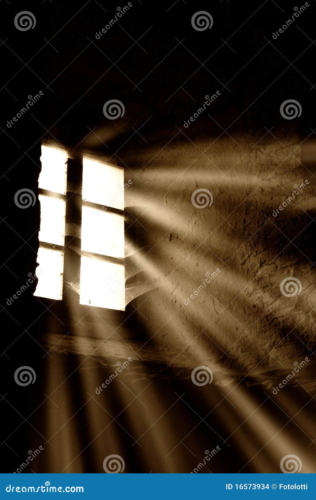 Light from the window stock photo. Image of cool, nice - 16573934