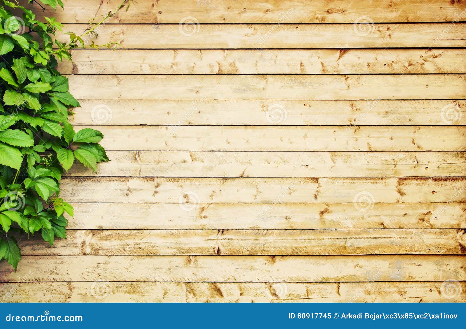 Light Wood Texture Background Surface With Old Natural Pattern Or Old ...