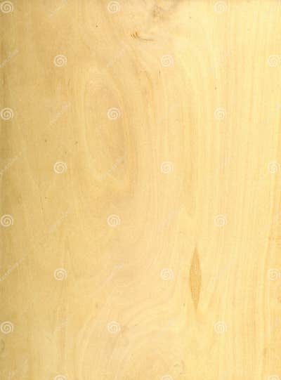 Light Wood Pine Texture stock photo. Image of parquet - 1306296