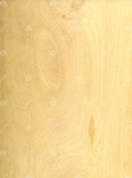 Light Wood Pine Texture stock photo. Image of parquet - 1306296