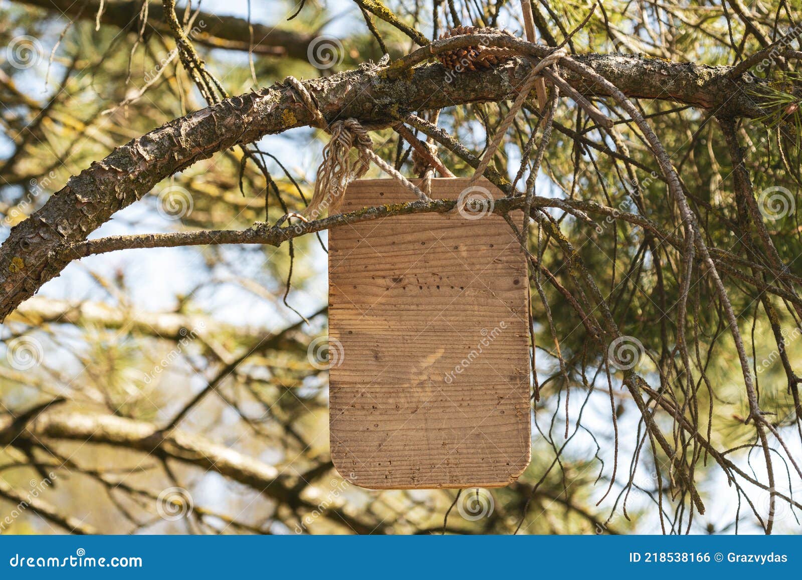 Light Wood Rustic Sign Board Hanging on a Pine Tree Stock Photo - Image ...