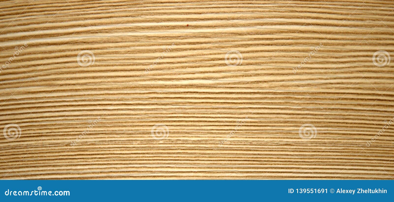 Light Wood. Texture, Background, Natural Pattern Stock Image - Image of ...