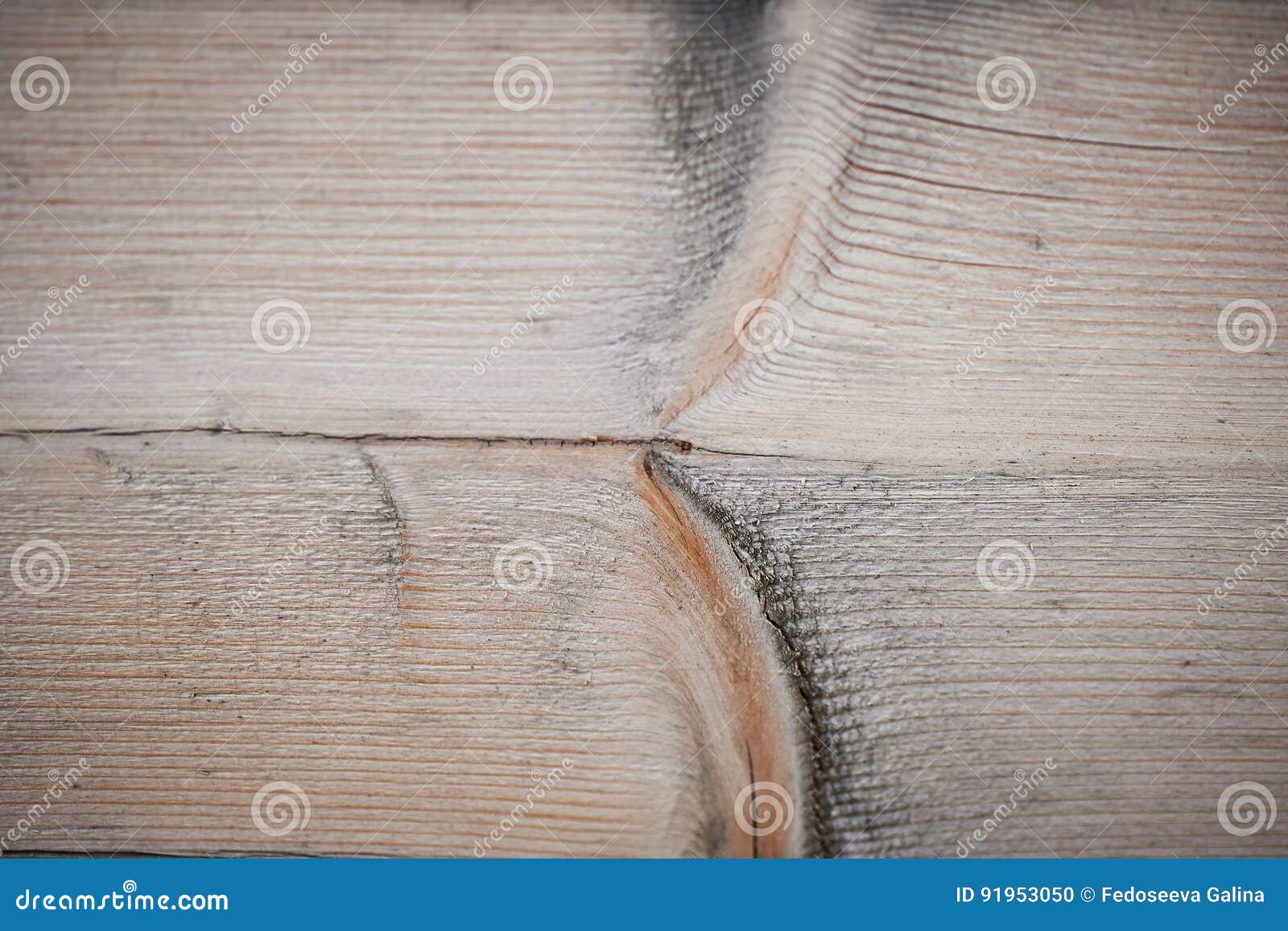 Light Wood Texture. Bleached Oak. the Texture is Close Stock Photo ...