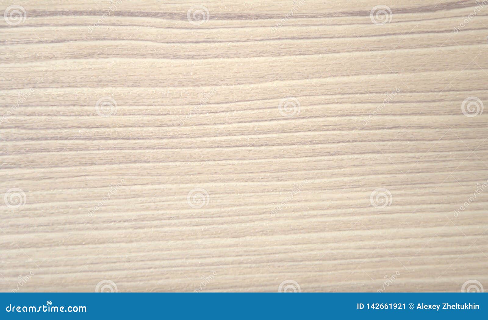 Light Wood Texture Natural Pattern Saw. Background. Close-up Stock ...