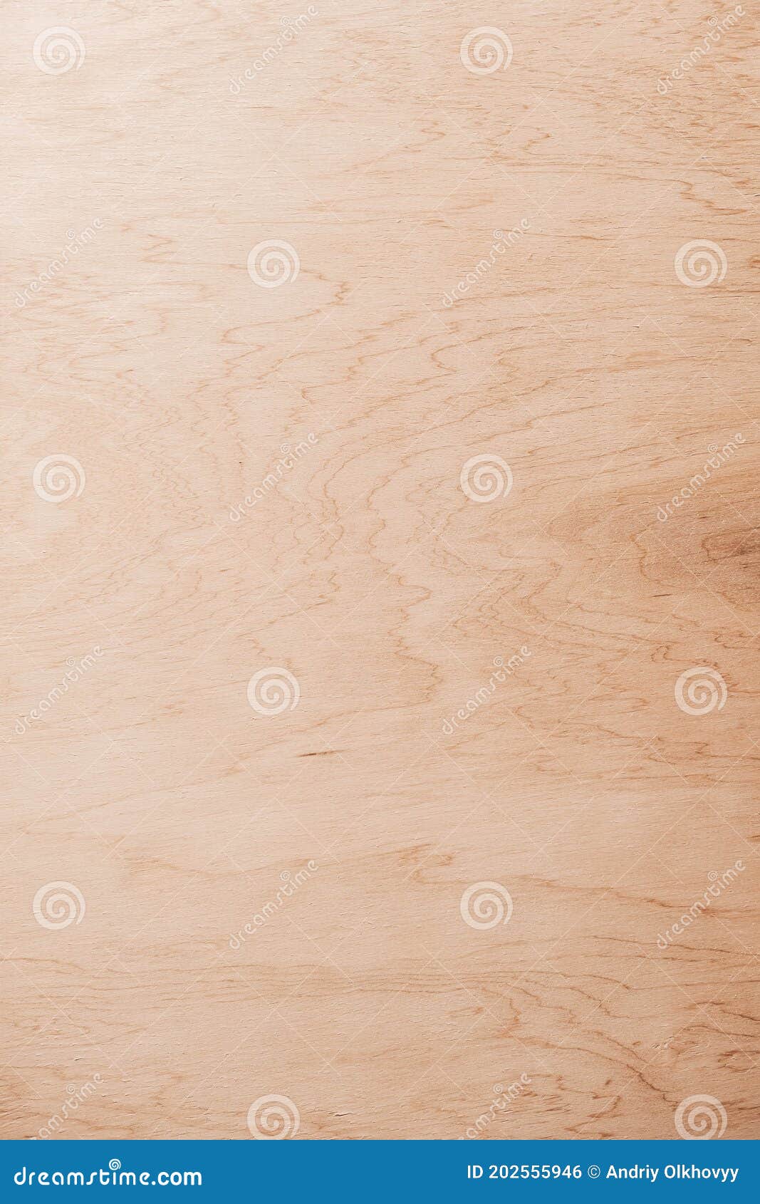 Light Wood Texture with Natural Pattern. Top View Stock Photo - Image ...