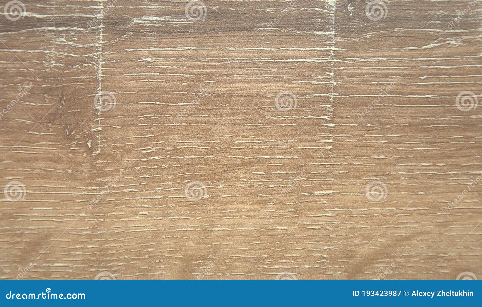 Light Wood Texture with Natural Rich Pattern of Lines. Background ...
