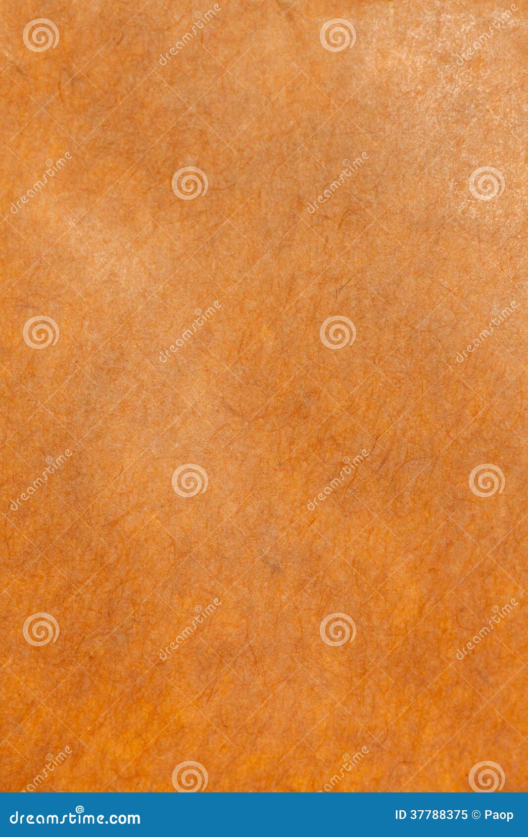 Light Yellow Cardboard Background Stock Image - Image of abstract, gold ...