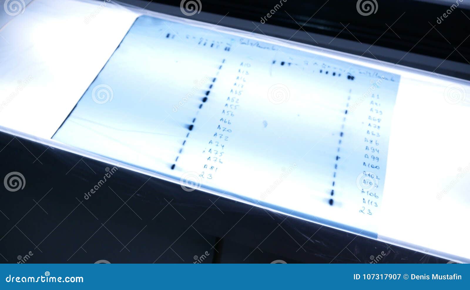 Lightbox for Films in the Laboratory Stock Video - Video of ...