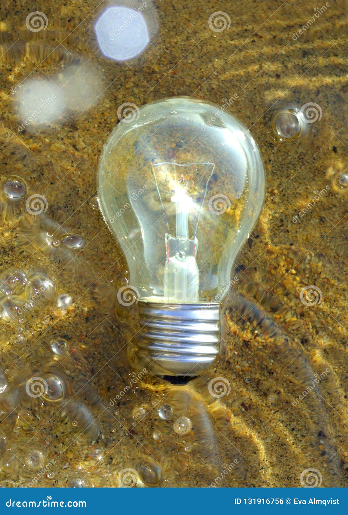 Lightbulb Floating In The Water, Alive With A Bit Of Light. Stock Photo ...