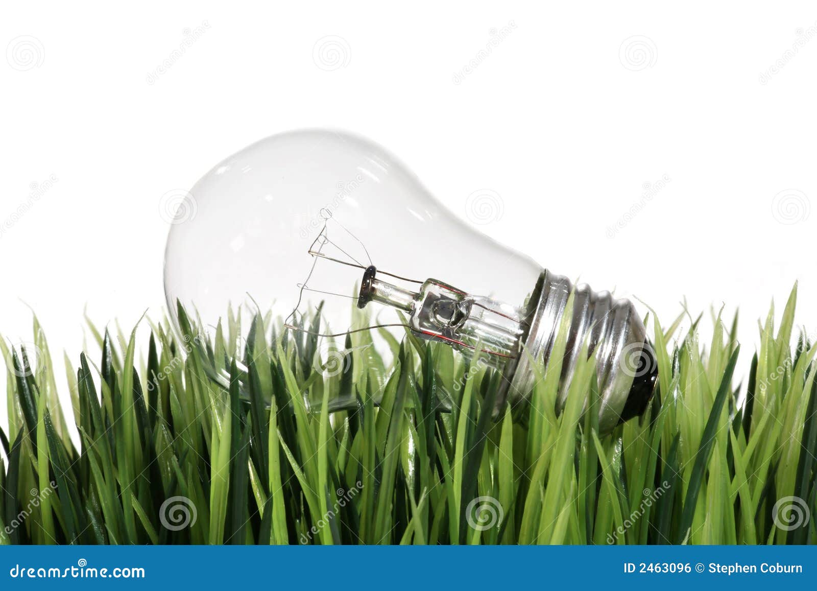 Lightbulb in the Grass stock photo. Image of intelligent - 2463096