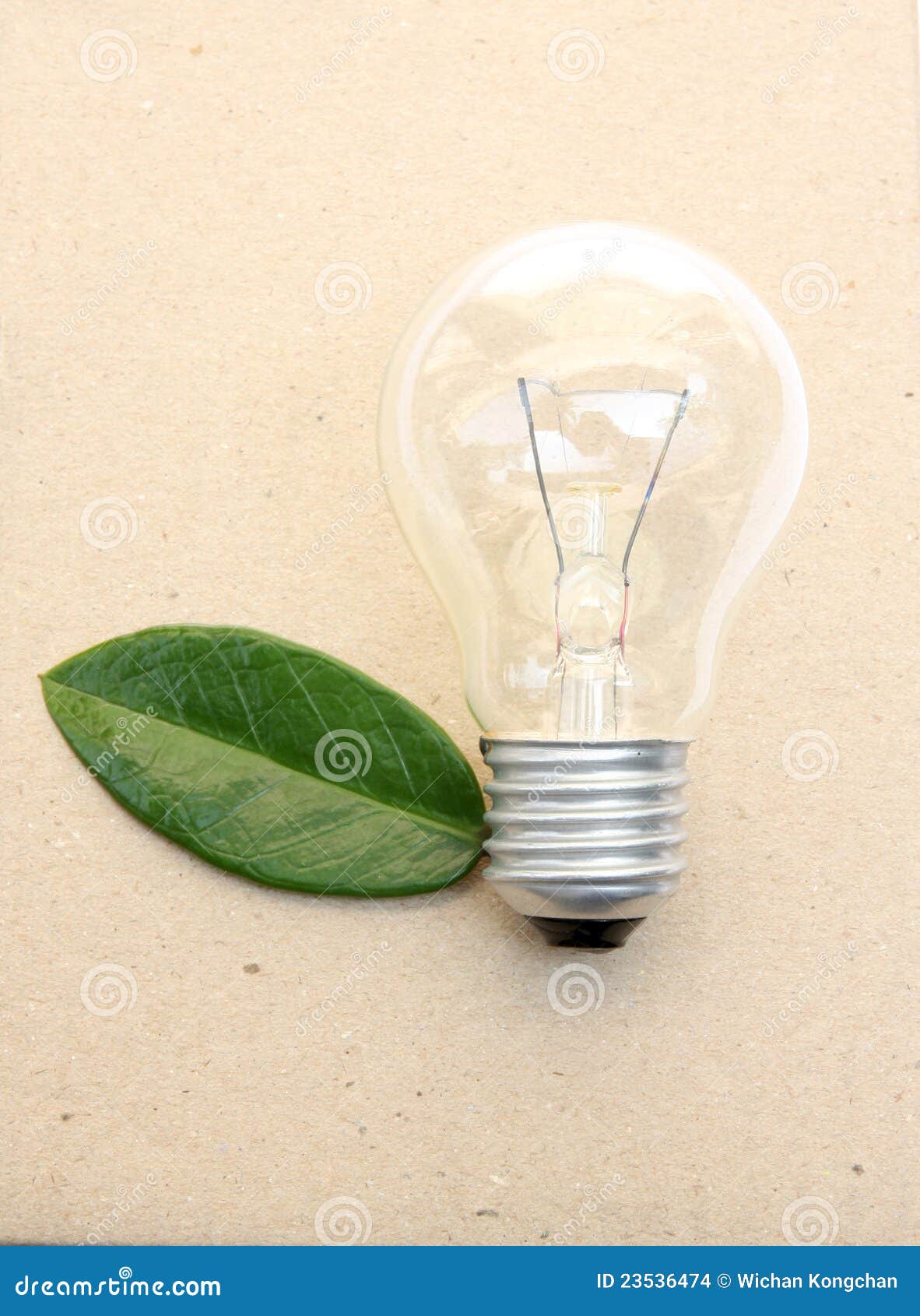 Lightbulb with Green Leaves Stock Photo - Image of light, kyoto: 23536474