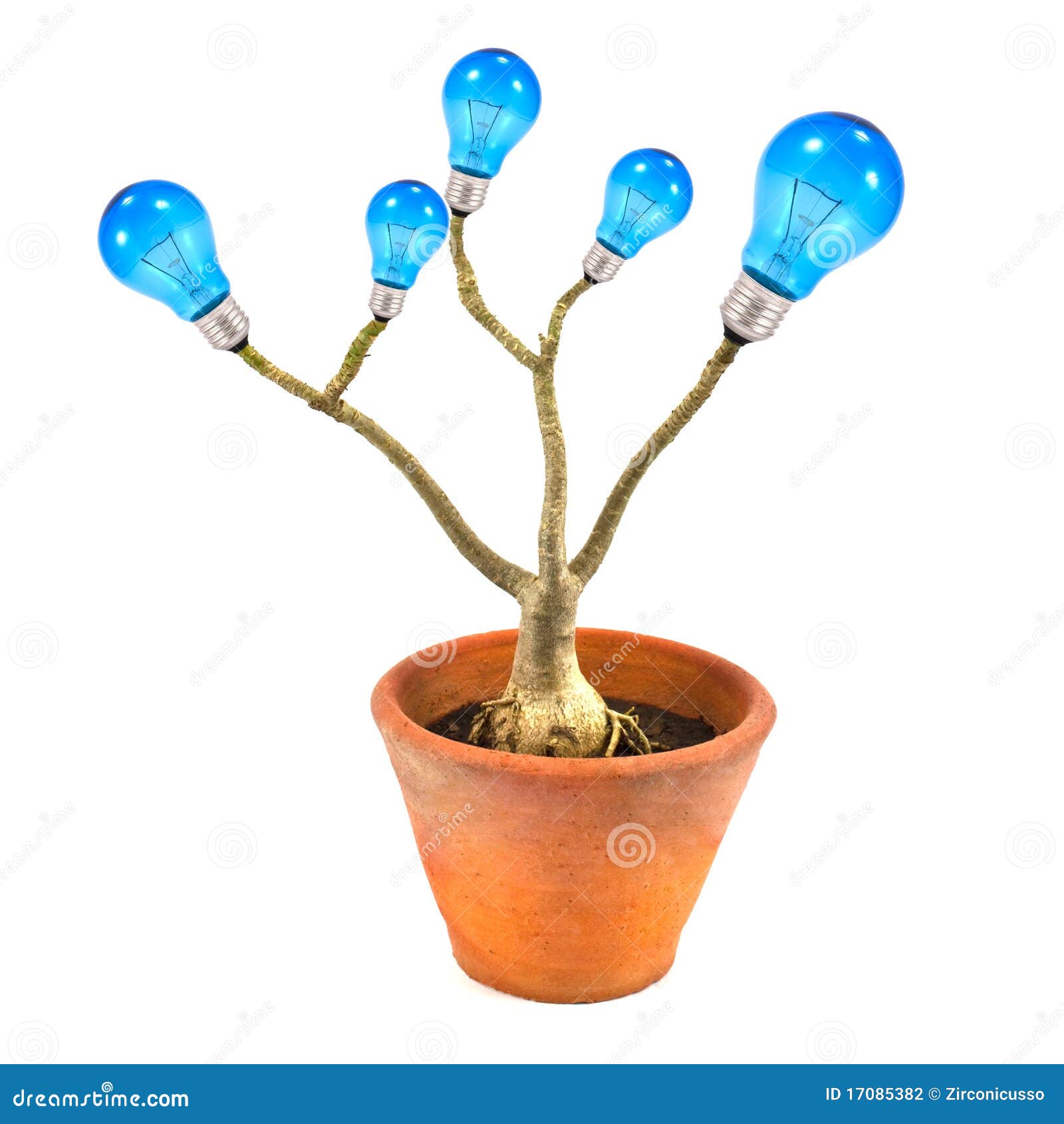Lightbulb tree stock photo. Image of flower, clipping - 17085382