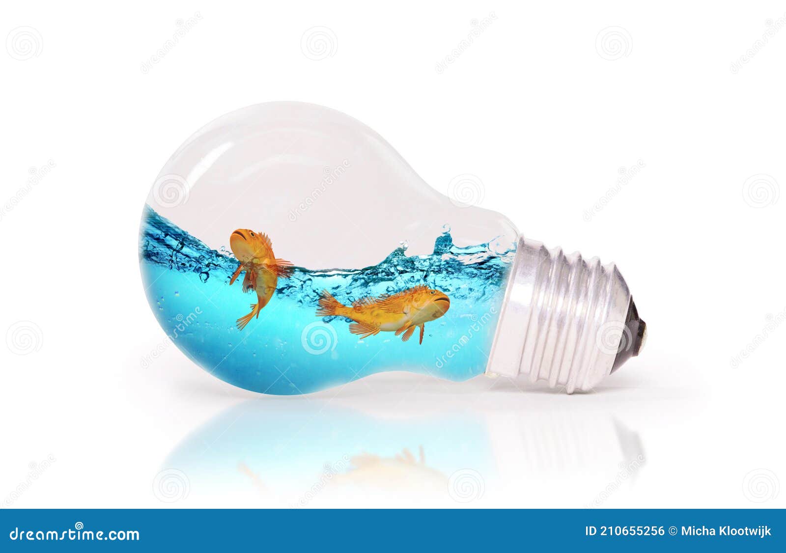 Lightbulb with Water and Fish Inside Stock Photo - Image of creative ...