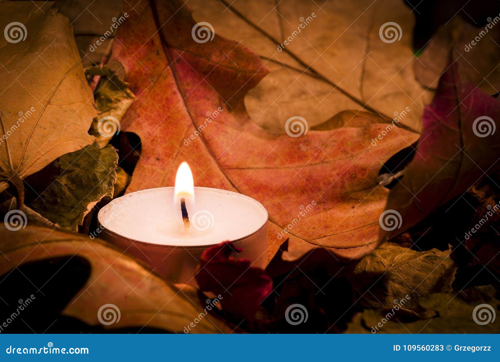 Lighted Candle on the Background of a Large Number of Wilted Lea Stock ...