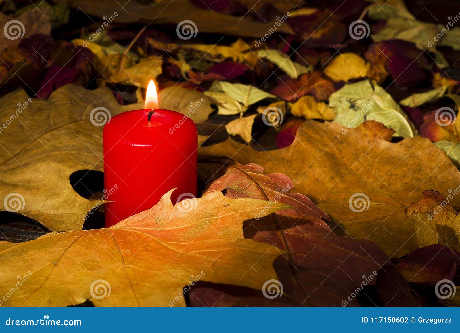 Lighted Candle on the Background of a Large Number of Wilted Lea Stock ...