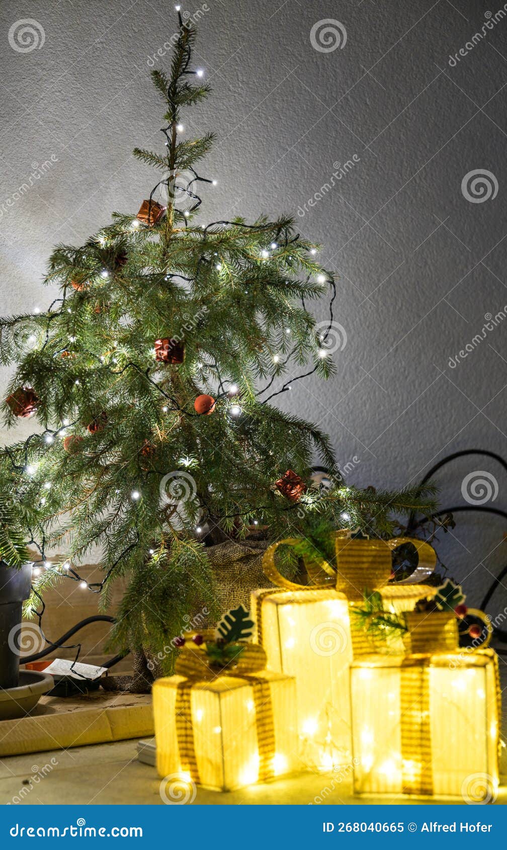 Lighted Christmas Tree and Gifts Stock Image - Image of outdoor, advent ...