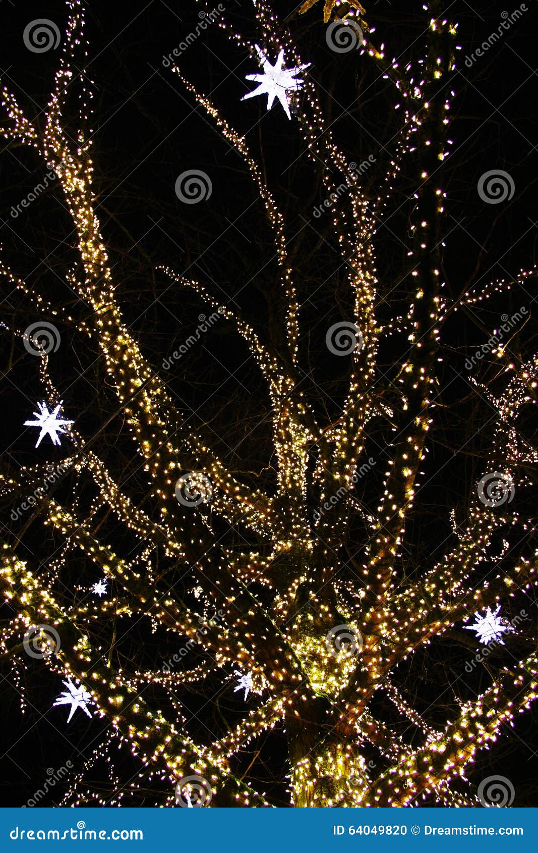 Lighted Christmas tree stock photo. Image of lighting - 64049820