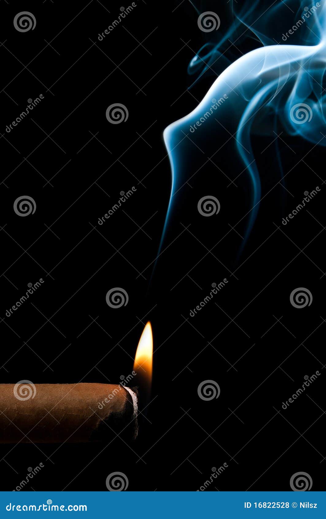 Lighted Cigar with Blue Smoke Stock Photo - Image of tobacco, fire ...