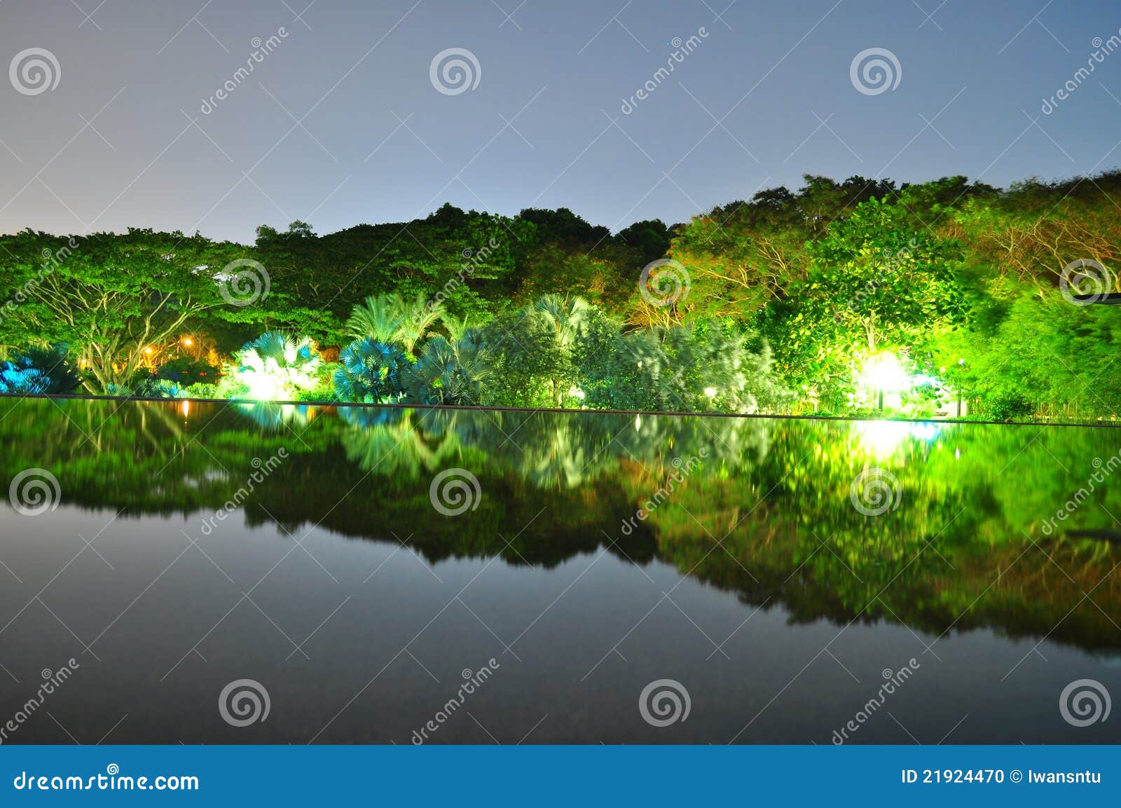Lighted greenery by night stock photo. Image of reflection - 21924470