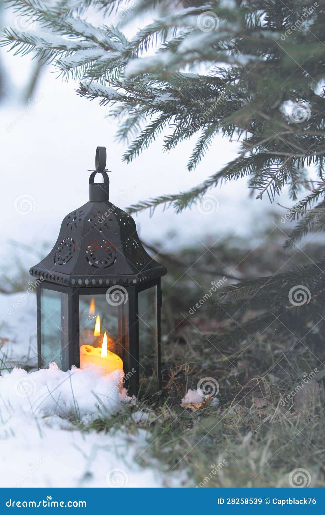Lighted Lantern Under an Evergreen Stock Image - Image of winter ...
