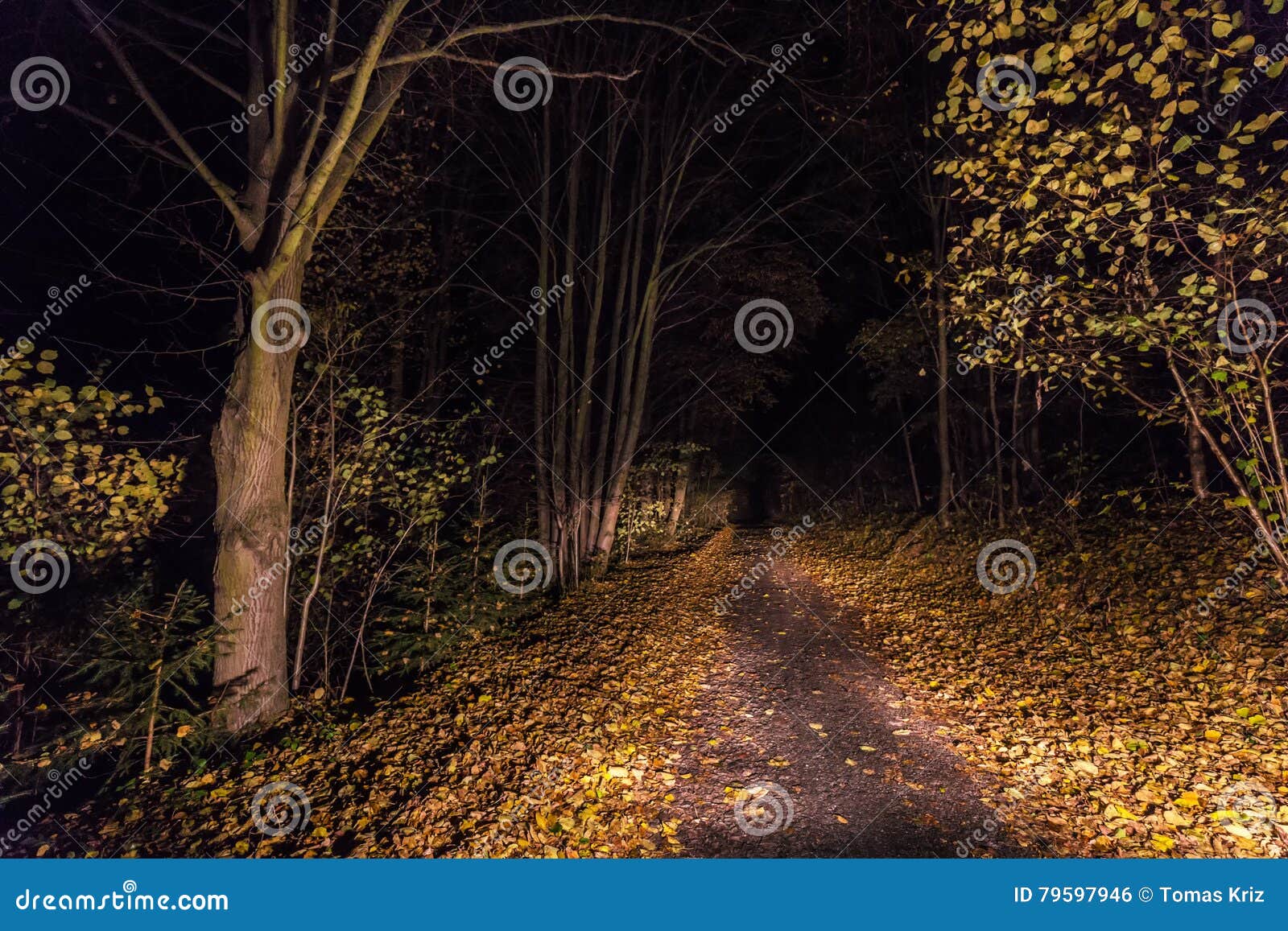 Lighted Path with Fallen Leaves at Night Stock Photo - Image of czech ...